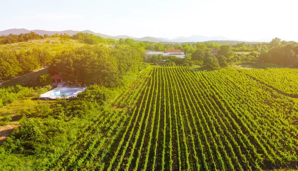 Home | Podrum Ostojić